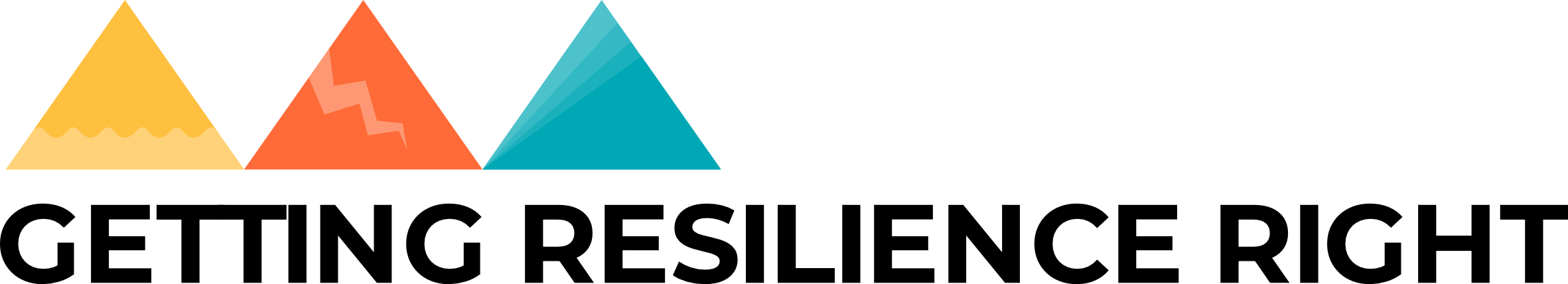 ICNZ Conference 2025