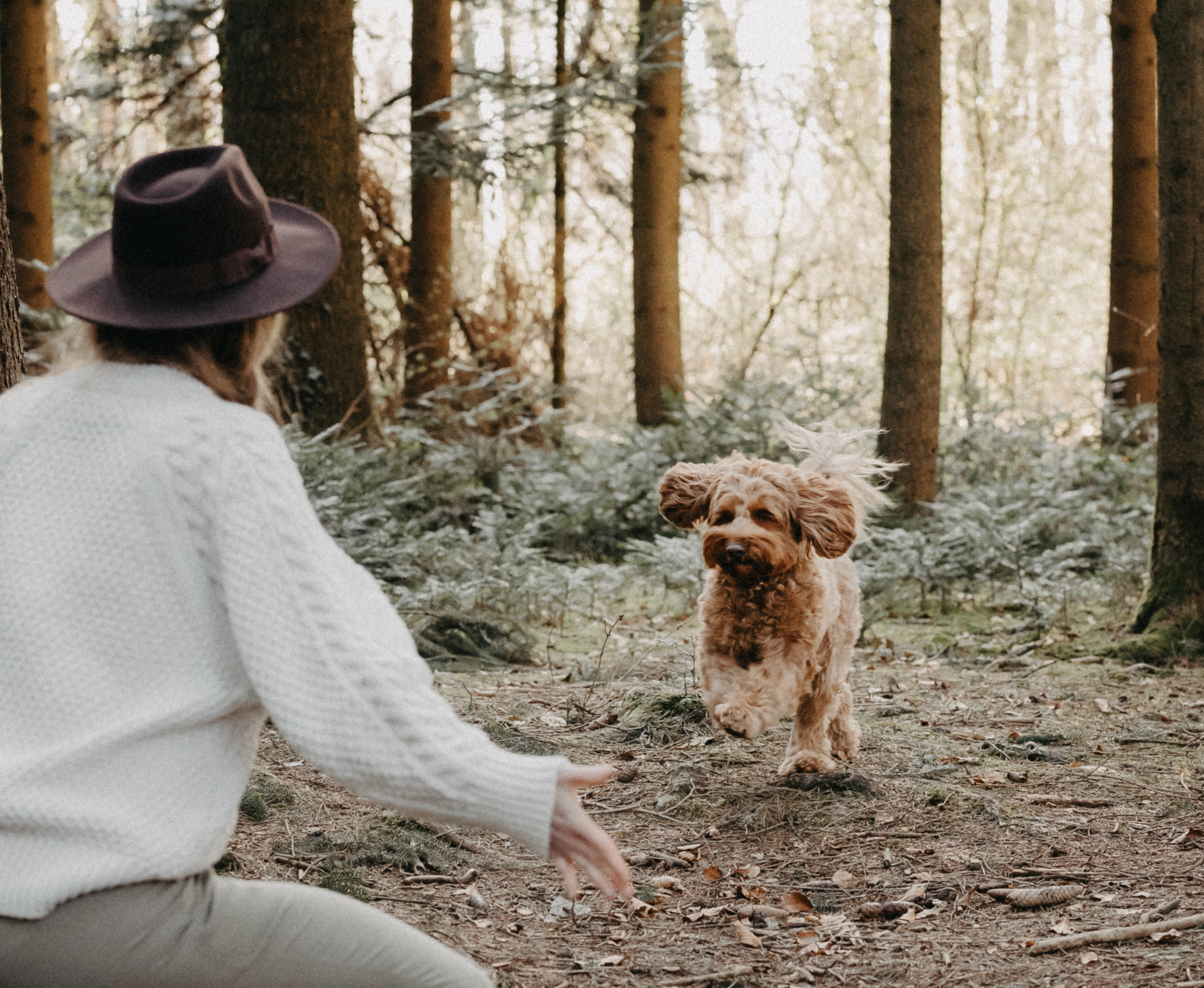 Bark and Bone | Experience Premium Dog Care
