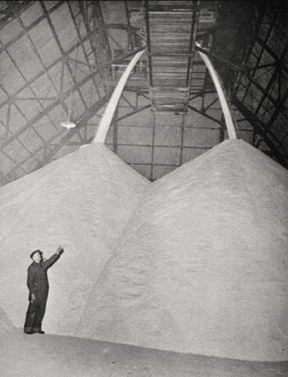 ABOUT — THE SALT SHED