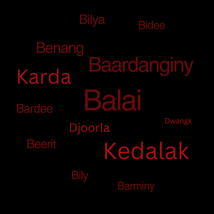 General 1 — WARDANDI ABORIGINAL CORPORATION