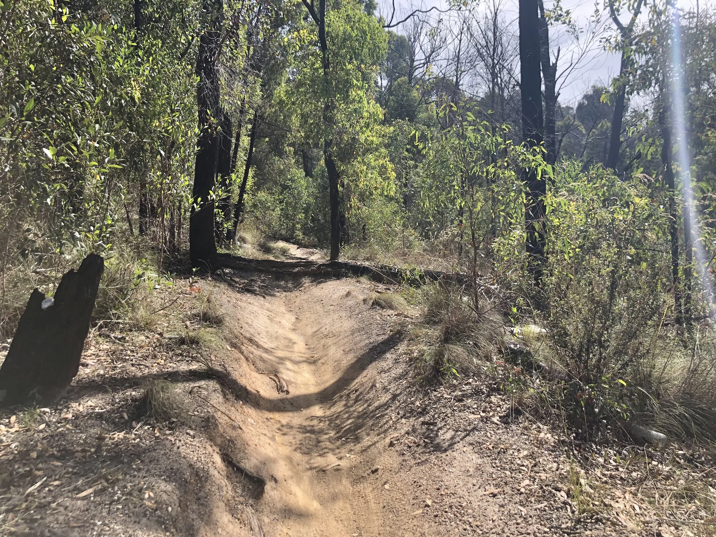 Great trails within 3hrs of Canberra- Tathra — Dirt Maidens
