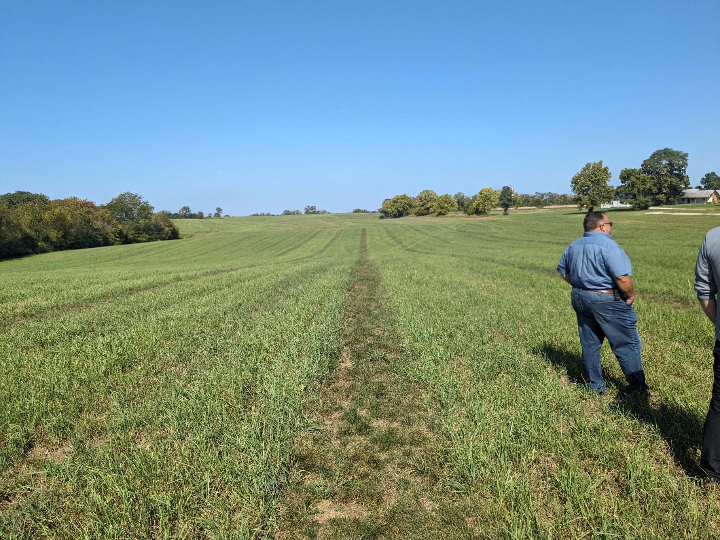 Agroforestry