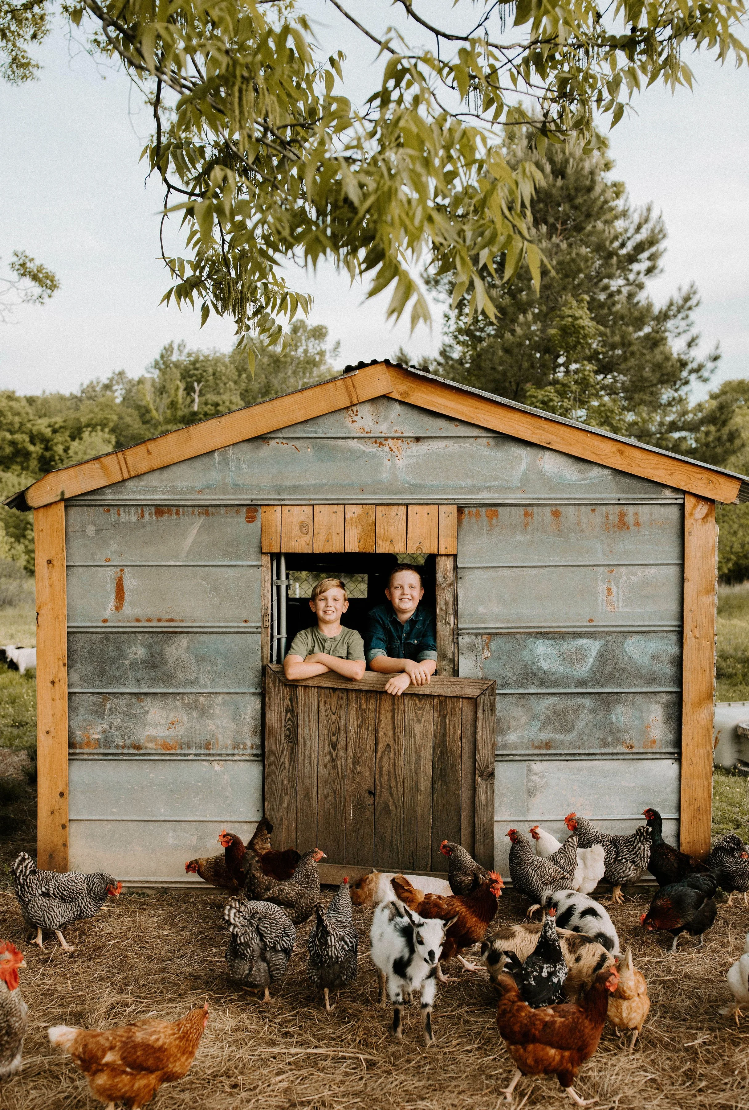 About Us | Family Owned & Operated | Sustainable Practices — Indigo ...