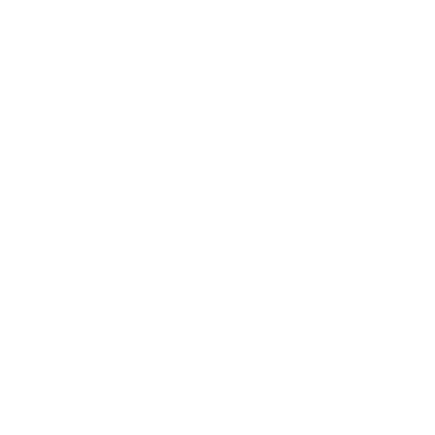 The Foundation
