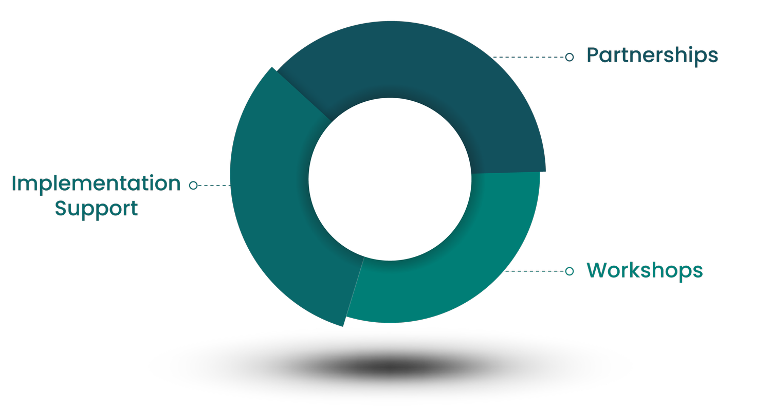 Services to Support Implementation — The Center for Implementation