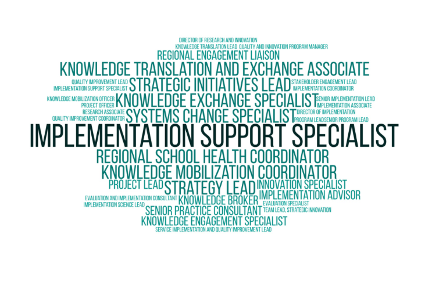 Exploring Implementation Support Careers