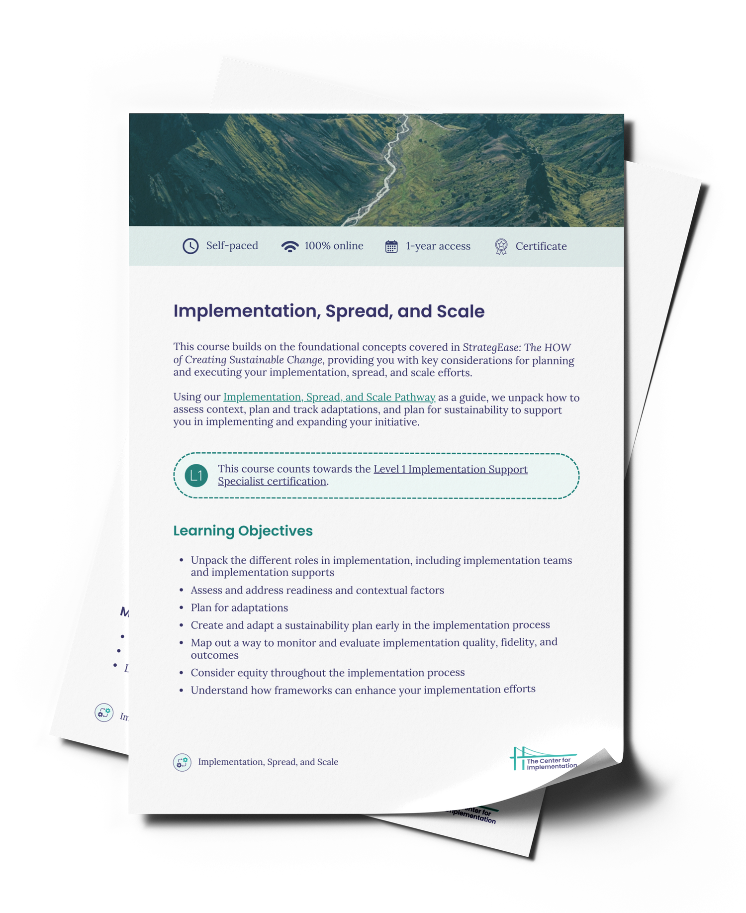 Implementation, Spread, and Scale — The Center for Implementation