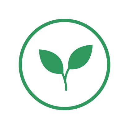 Hidden Curriculum: Igniting Change From the Middle — The Center for ...