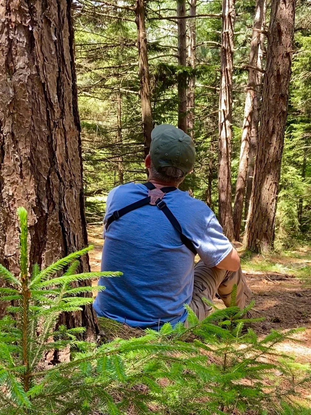 Mindful Birding — The Mindful Birding Network