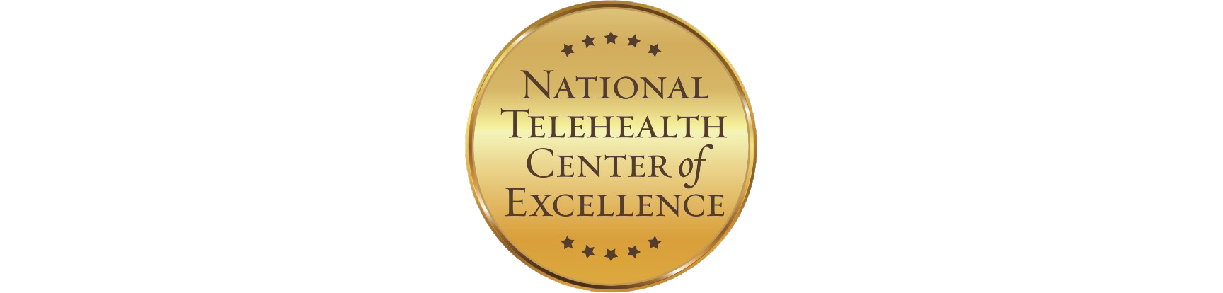 24/7 Patient Telesitting, Telesitter Technology — VirtuALLY — VirtuALLY