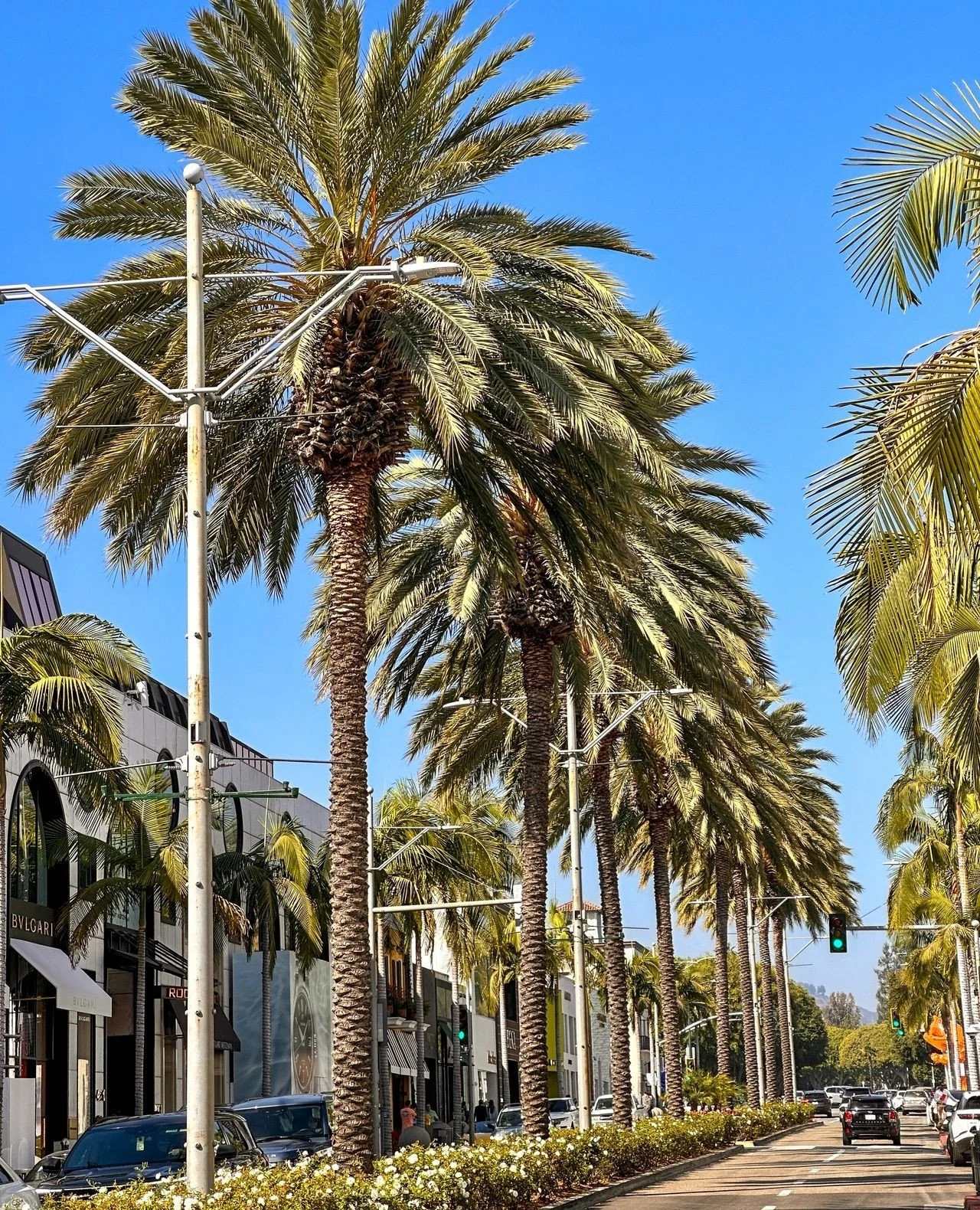 RODEO DRIVE – THE INTERSECTION OF LUXURY, FASHION AND ENTERTAINMENT