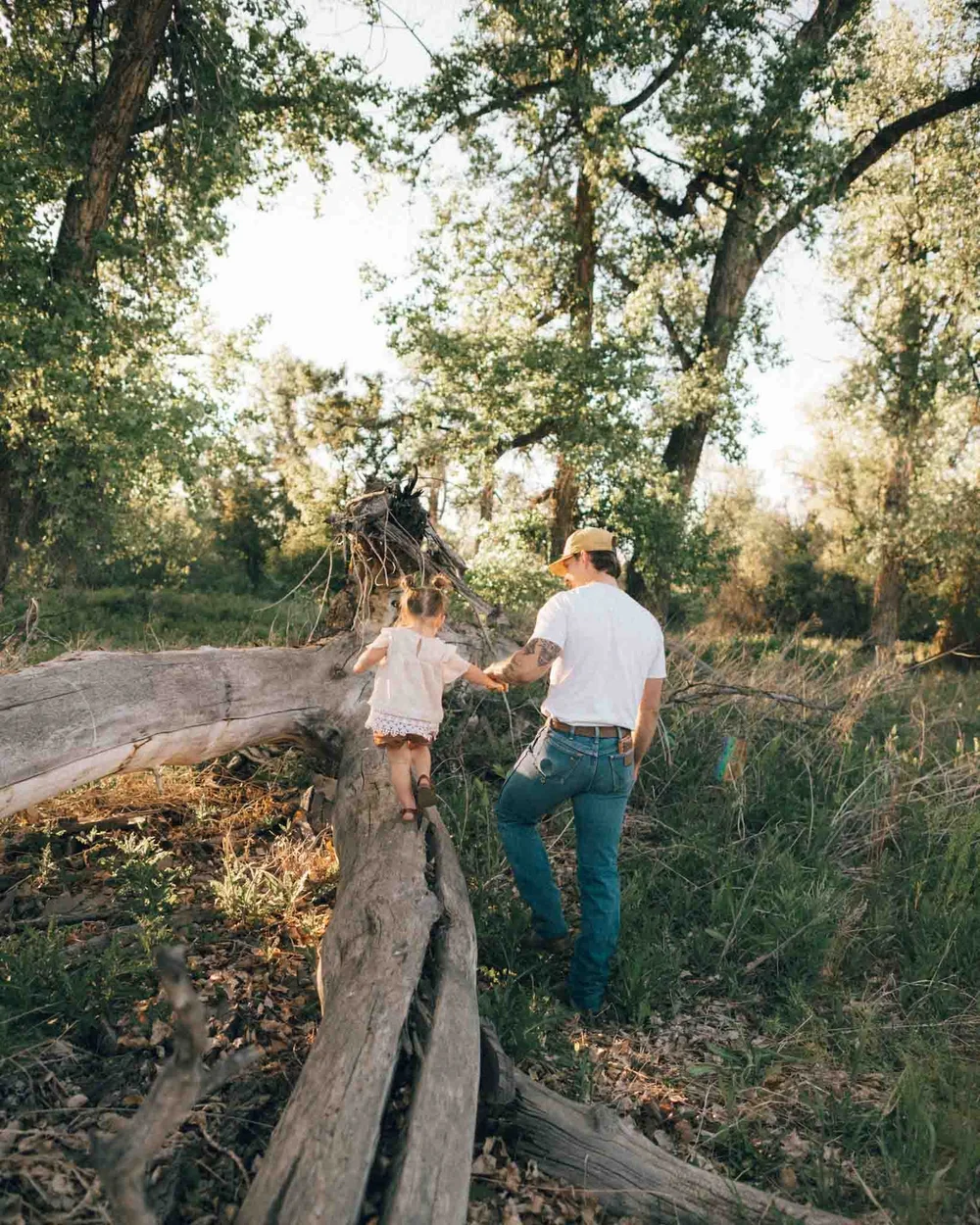 Gallery 1 — Molly Rodgers Photography