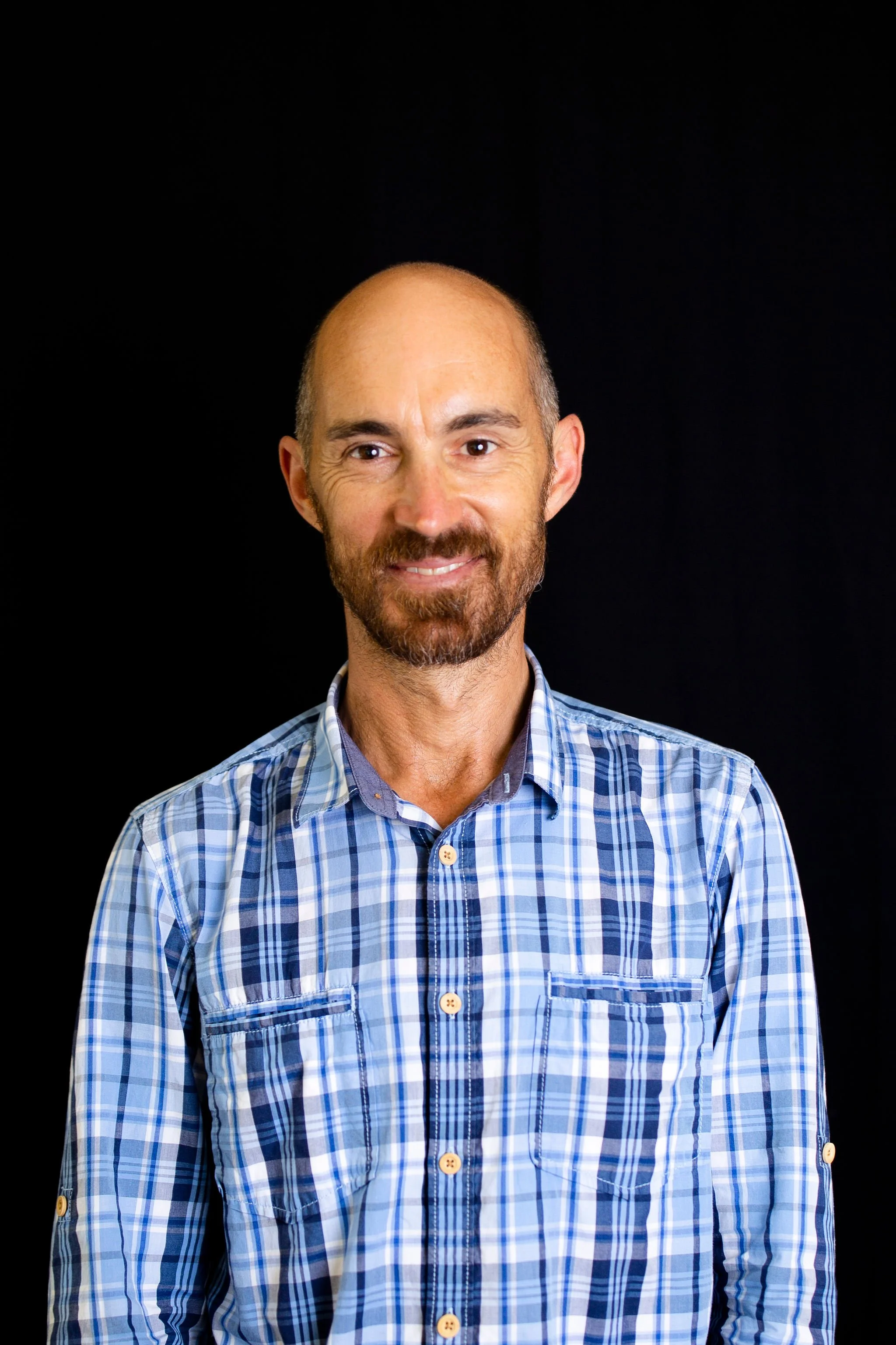 Workshops — David Bongiorno Art