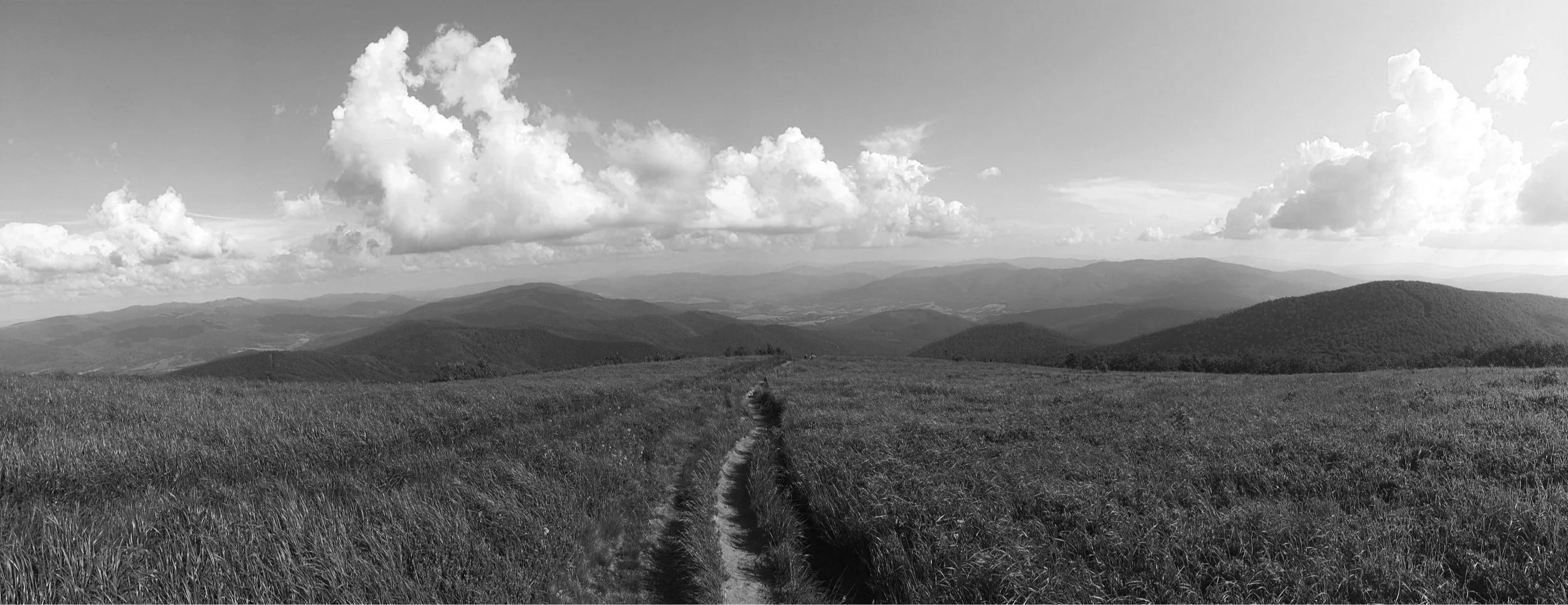 Pregnancy Services — Clayton Clinic Ltd