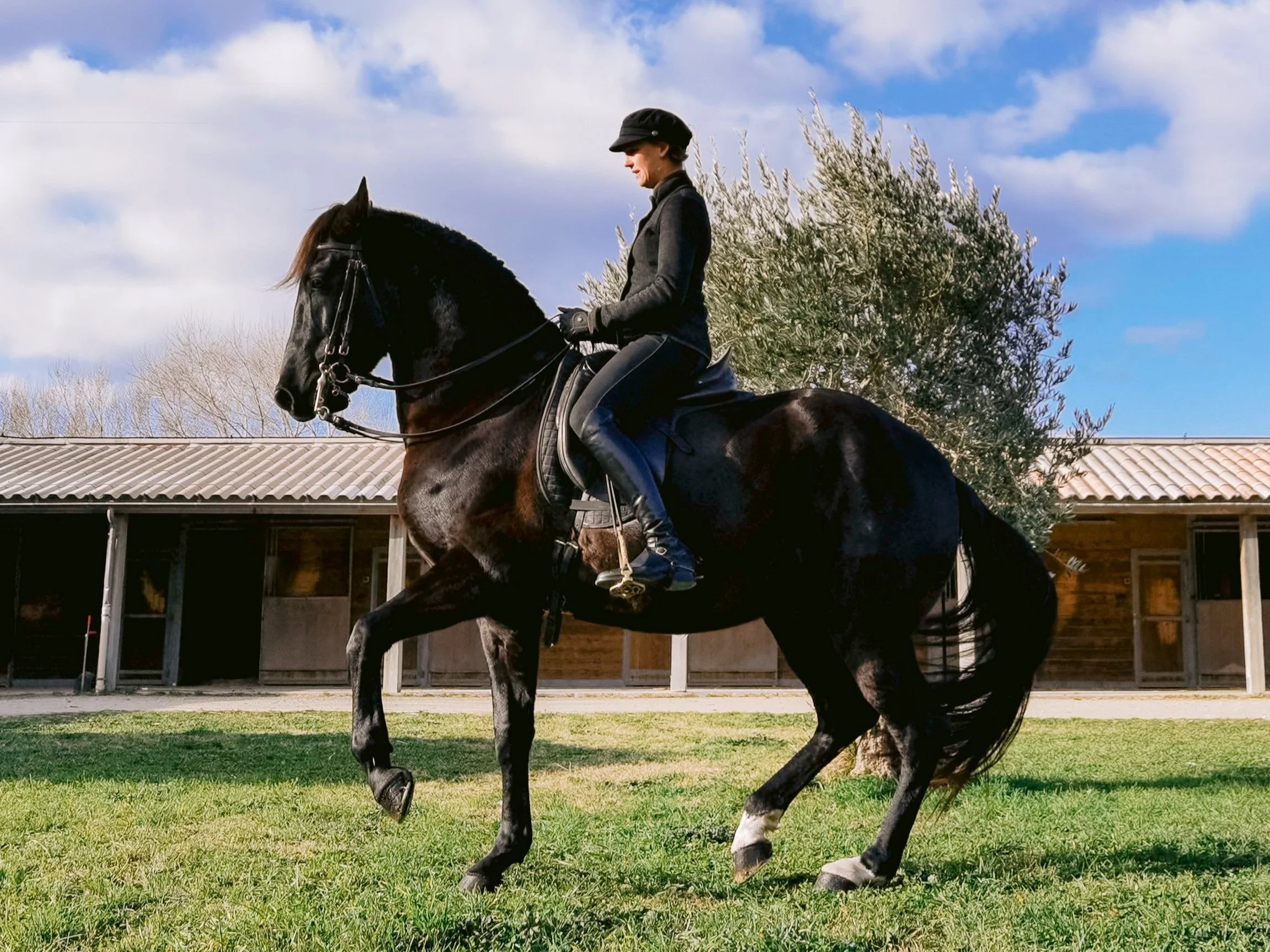 French Classical Equitation - Pippa Callanan