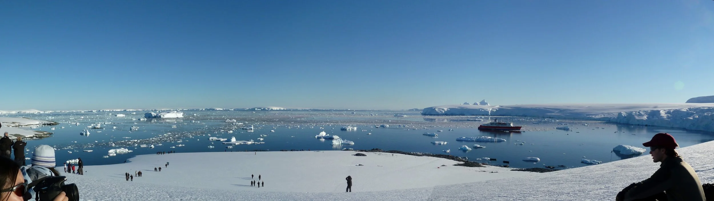 Museum Rooms - Polar Realm — The Travel Museum .Org - Adventure ...
