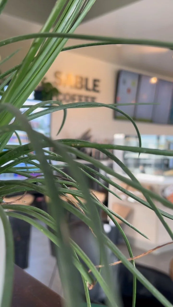 Our Story — Sable Coffee