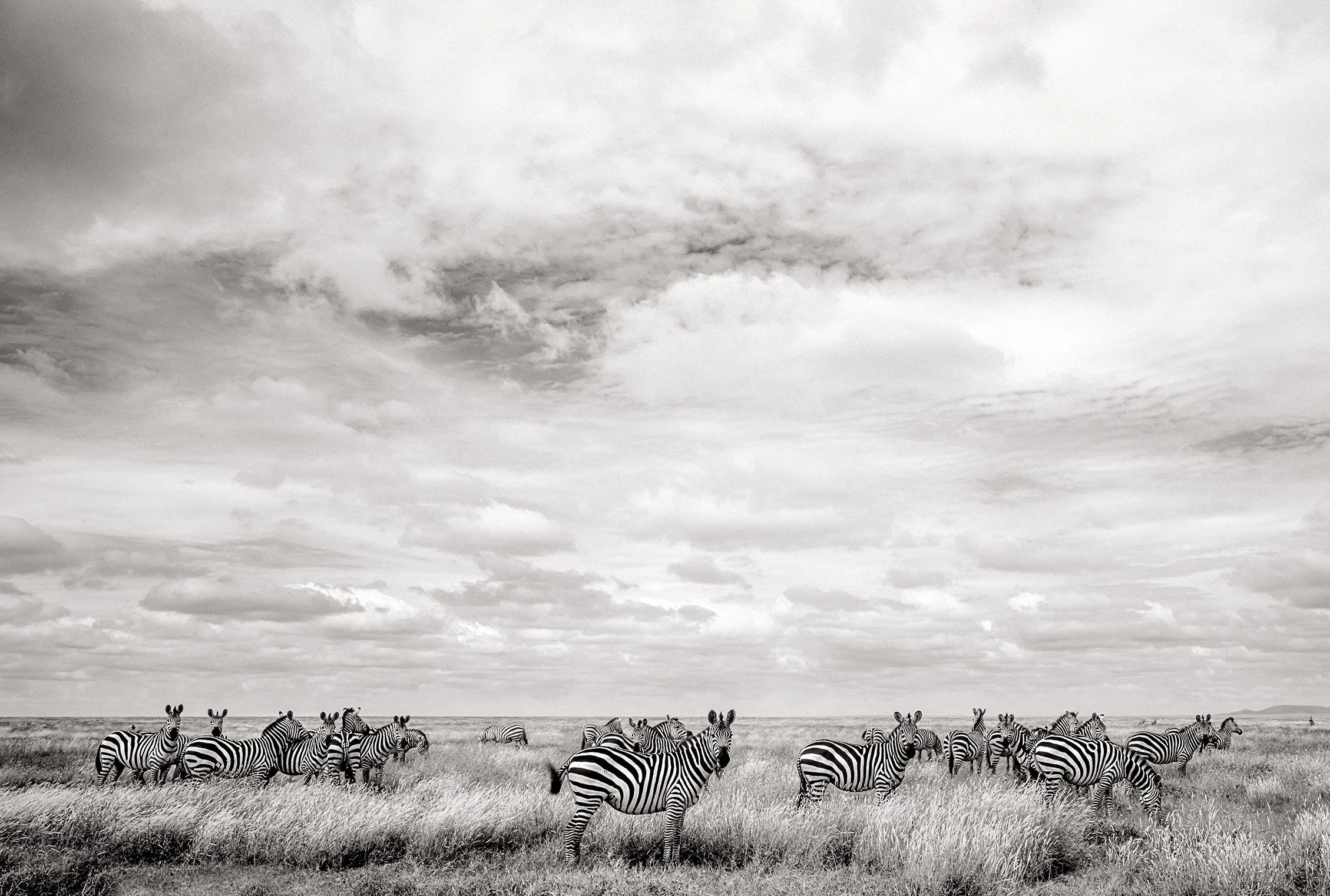 Kenyan photo safari — Kelly Fajack - Photographer - Photo Safari Guide