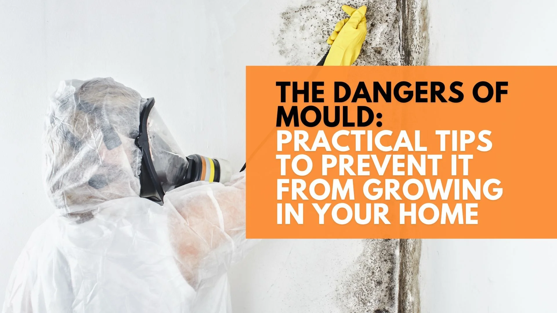 The Dangers of Mould: Practical Tips to Prevent it from Growing in Your ...