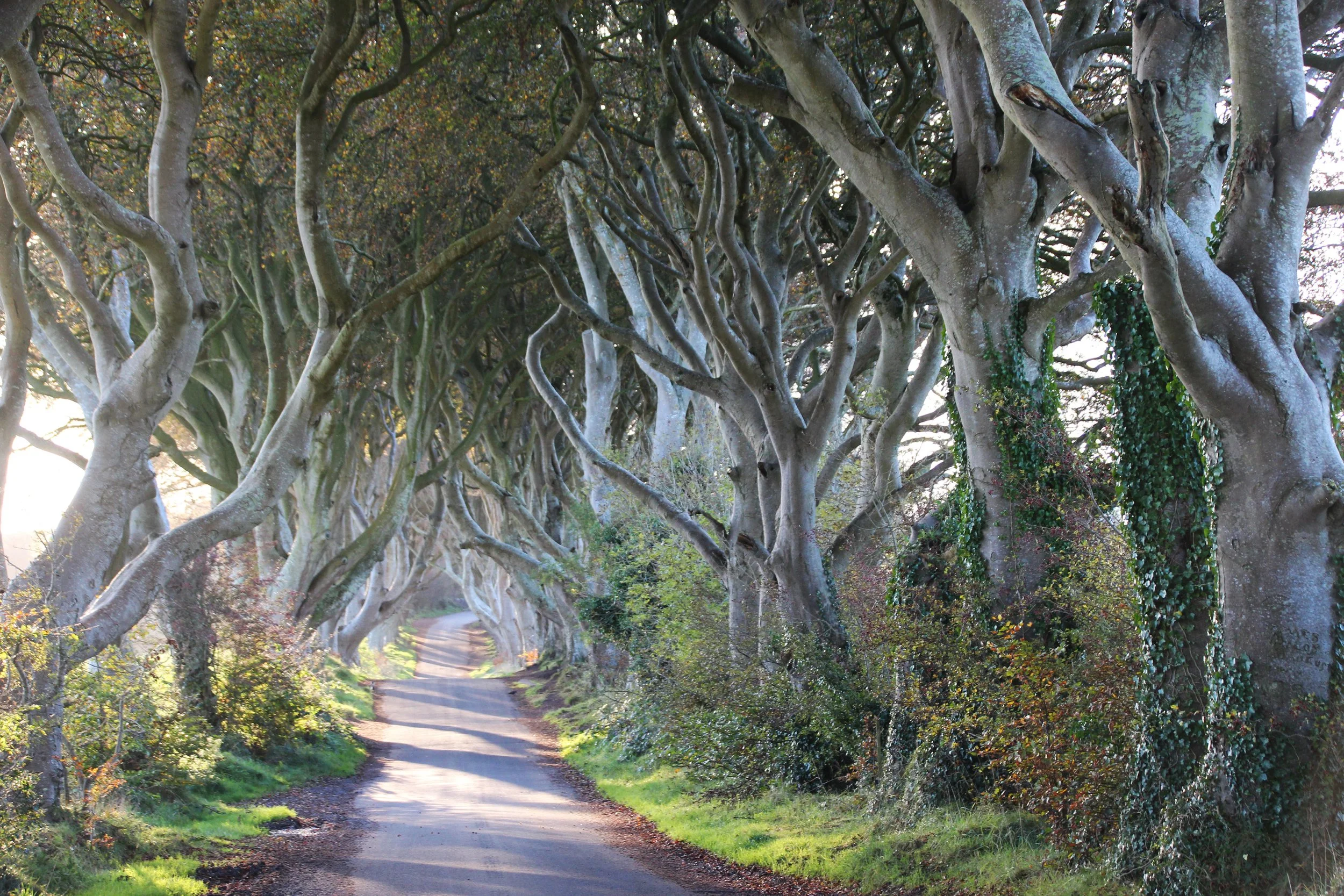 Ireland Tour FAQs | Wolfhound Adventure Tours