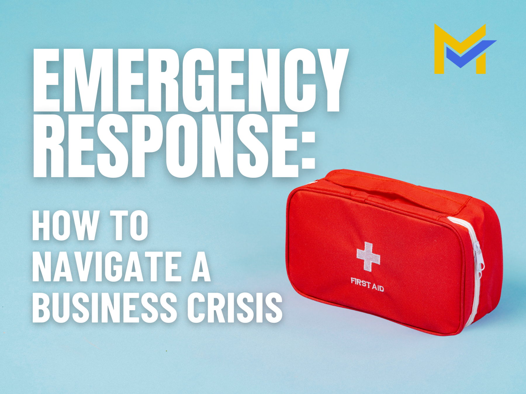 Emergency Response: How To Navigate A business Crisis — Memorable ...