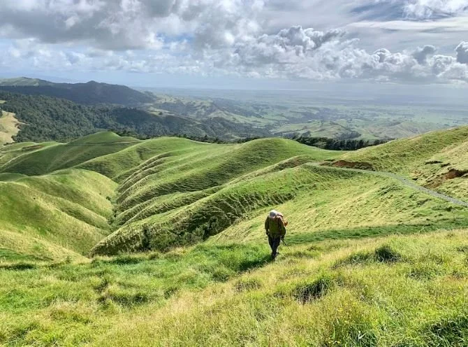 Solo Hikers — Matahuru Valley Walk
