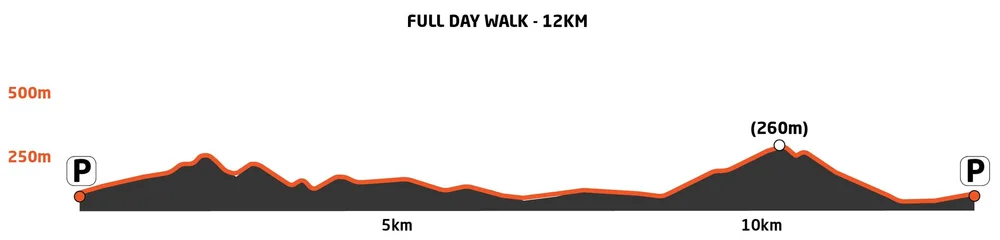 Full Day Walk — Matahuru Valley Walk