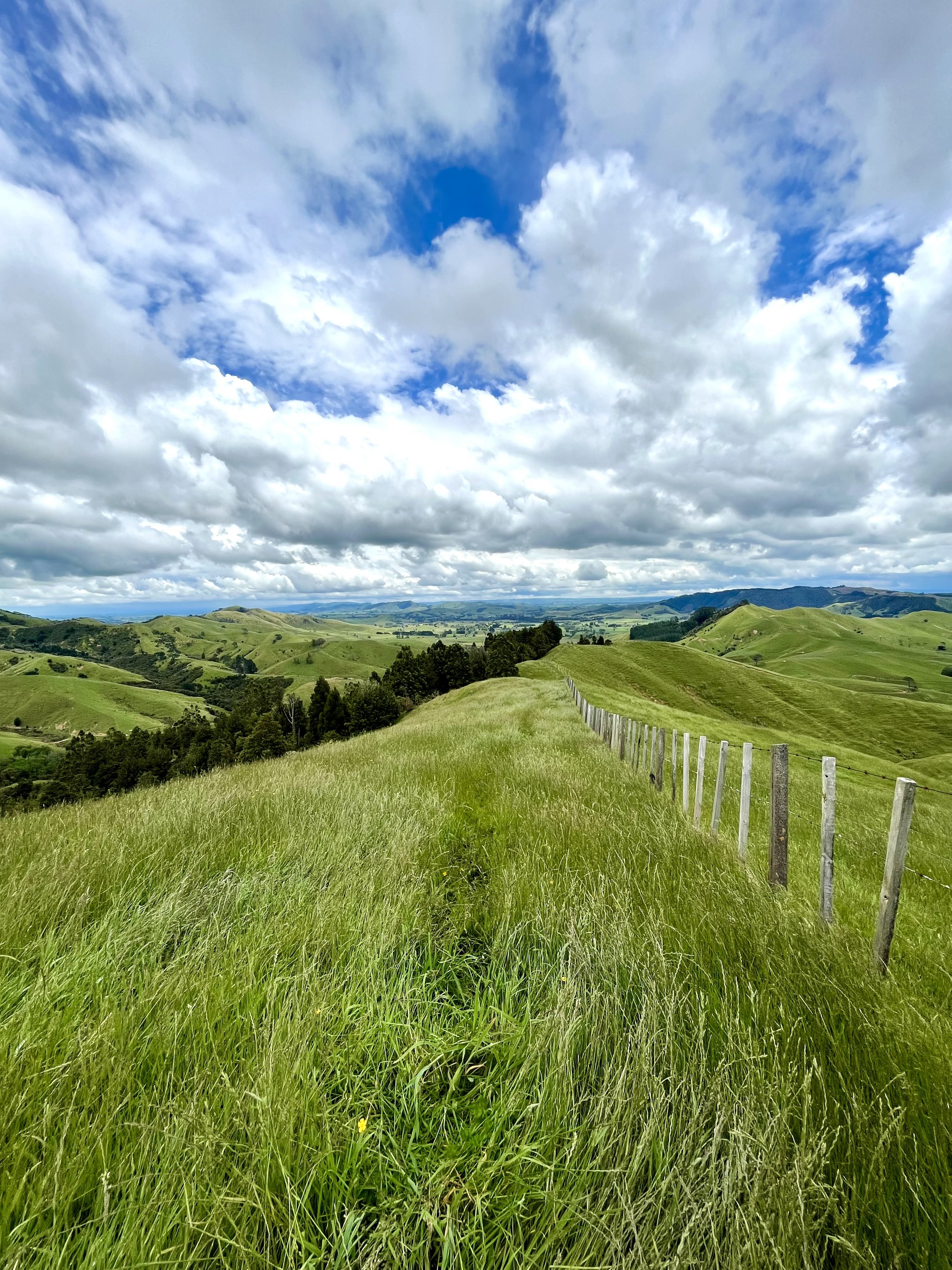 Matahuru Valley Walk