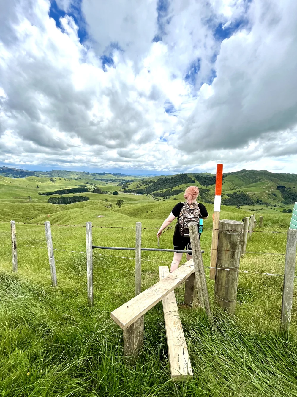 The Walk — Matahuru Valley Walk