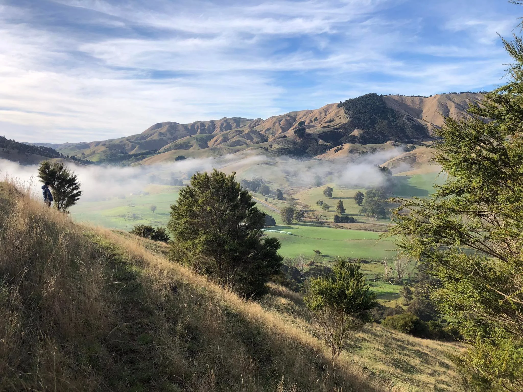 Matahuru Valley Walk