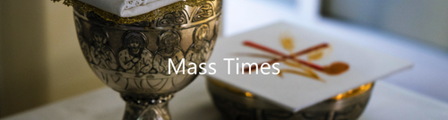 Mass Times — St Michael's Cathedral