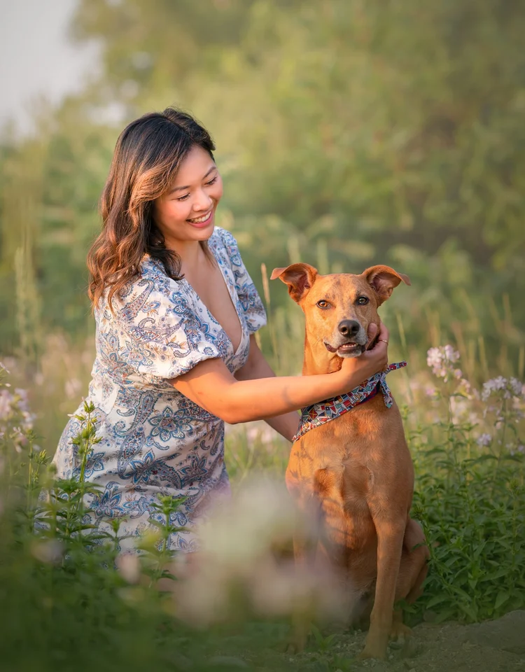 Gina Soule Photo | Maine Pet Photography | Maine Dog Photography