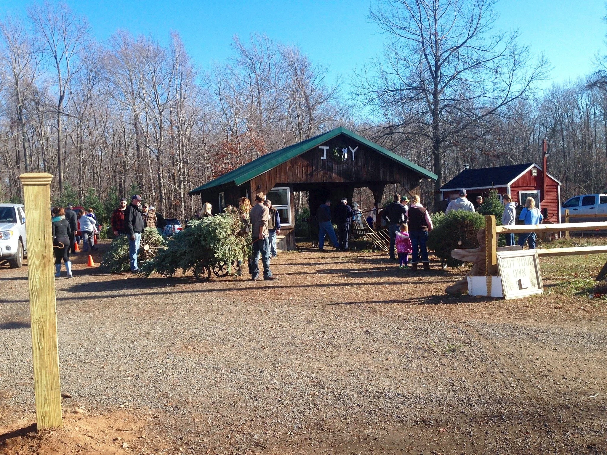 Dumas Christmas Tree Farm