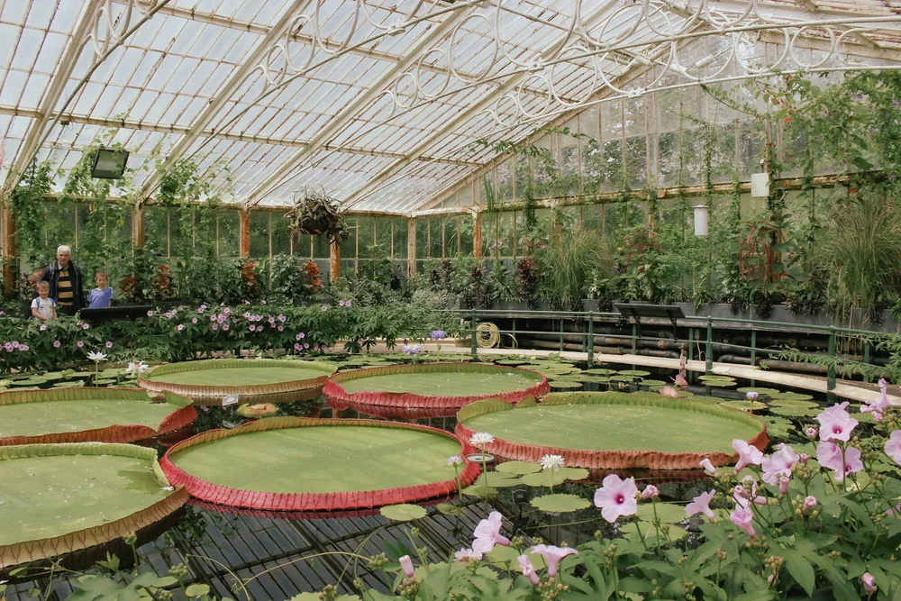 The 14 most beautiful gardens to visit in London