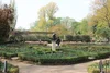 Discover the best tulip gardens in London and South East England