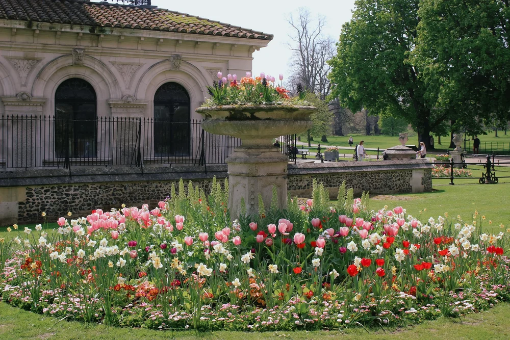 Discover the best tulip gardens in London and South East England