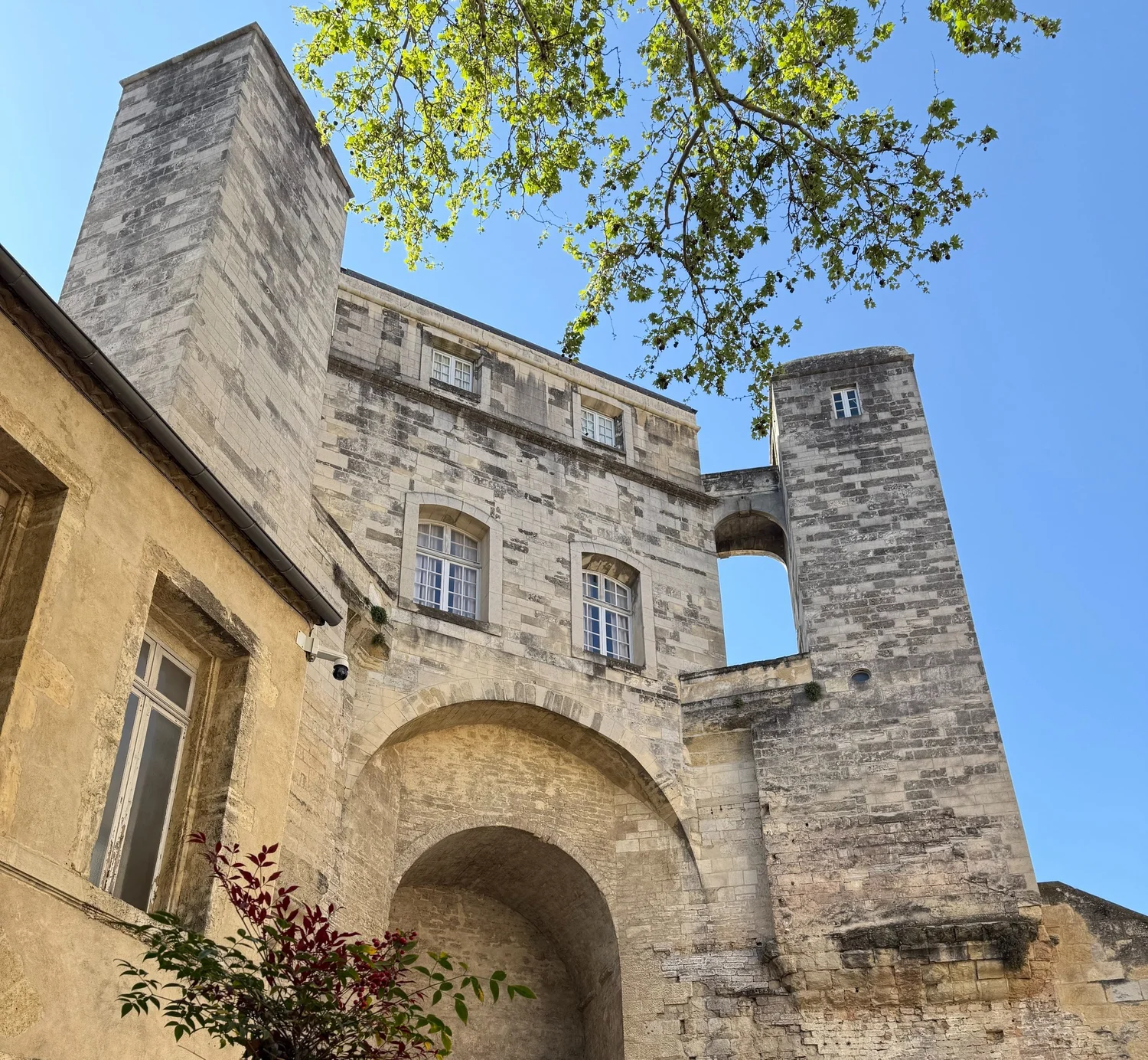 Things to do in Montpellier, France for art & architecture lovers