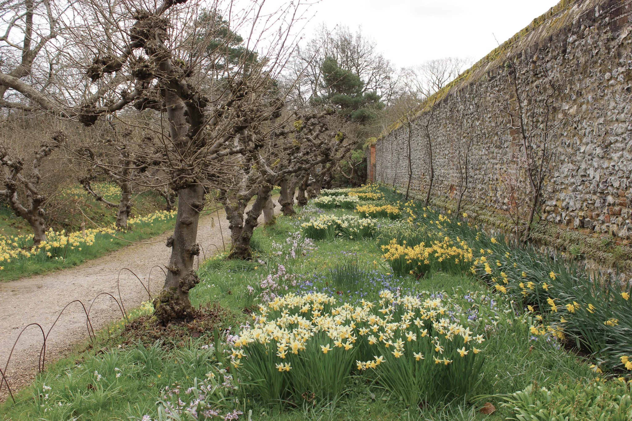 When and where to see spring flowers and gardens in London