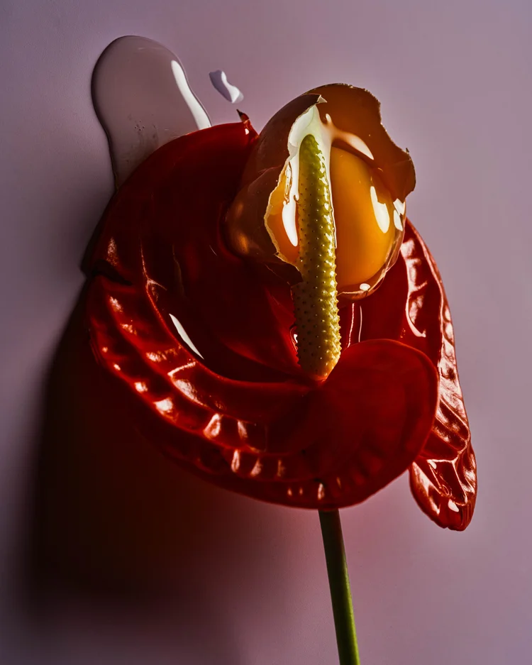 series — SUZANNE SAROFF