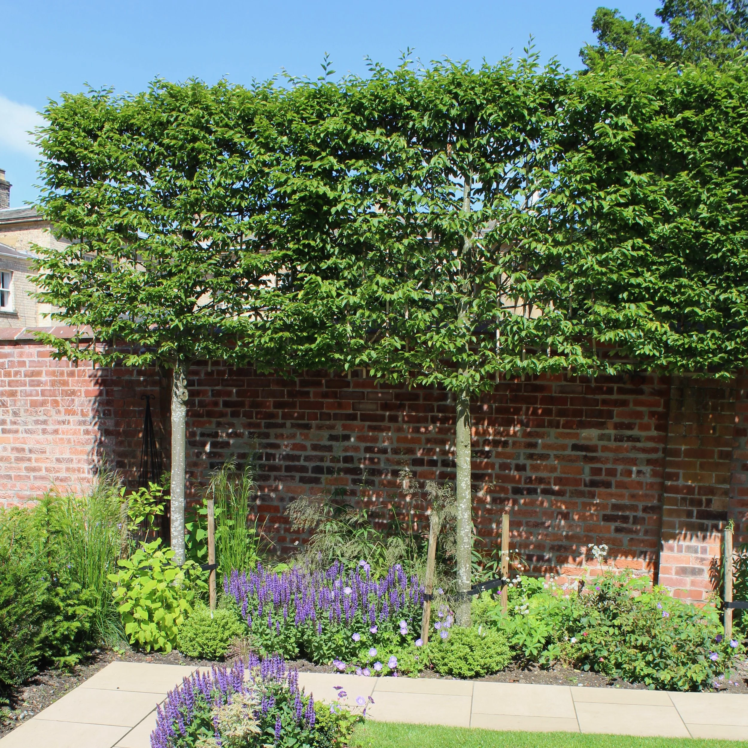 How To Create Privacy In Your Garden — Haddon Studio