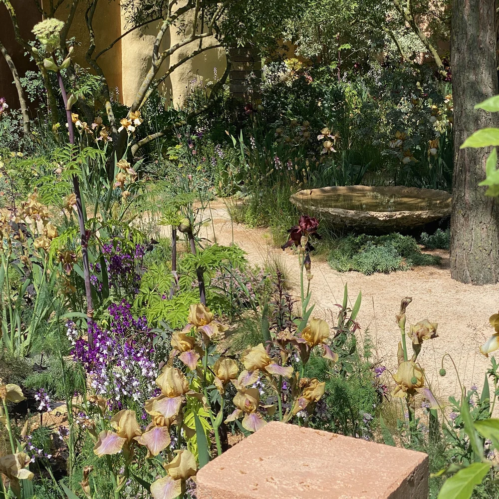 Top 5 Chelsea Flower Show 2023 - Top 5 Trends — Haddon Studio