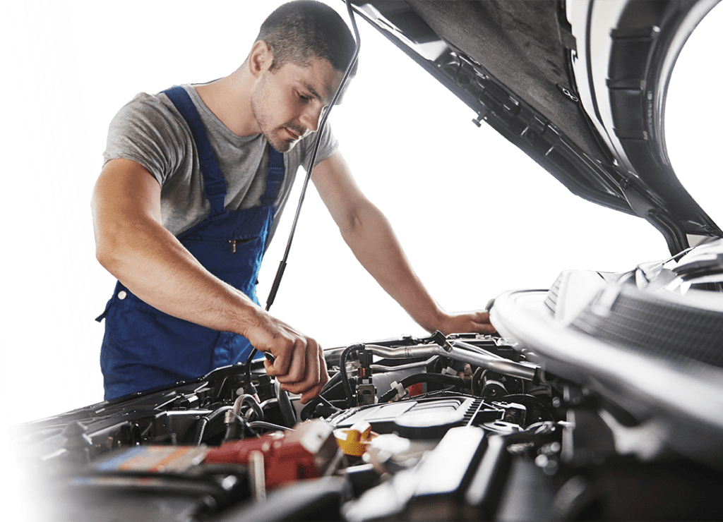 Ohana Vehicle Services