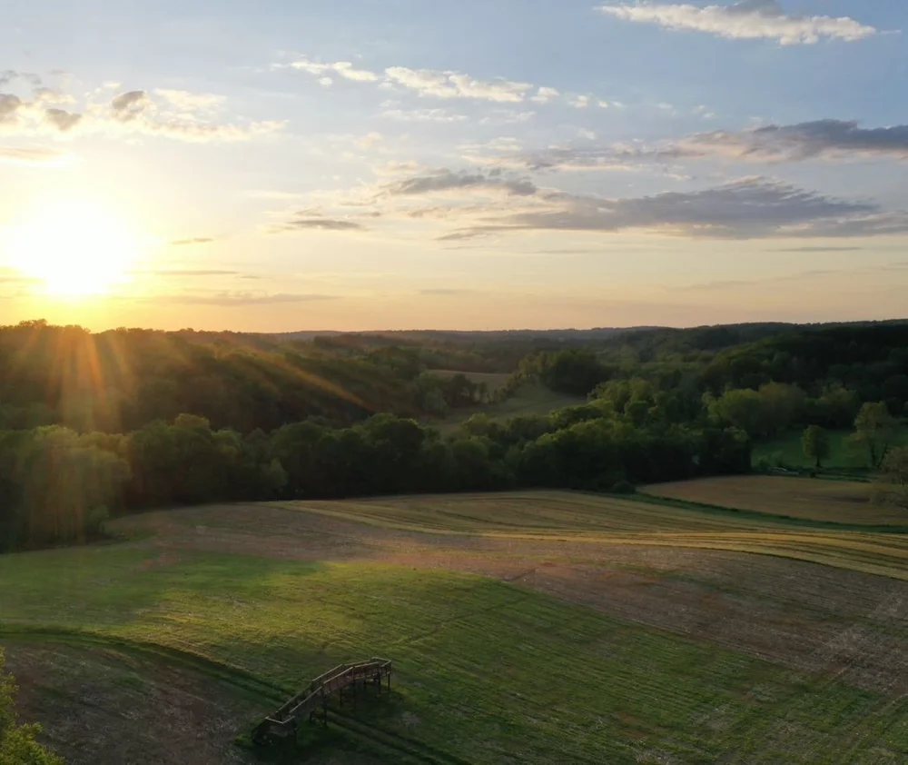 Ramsey's Farm | Visit & Explore Today