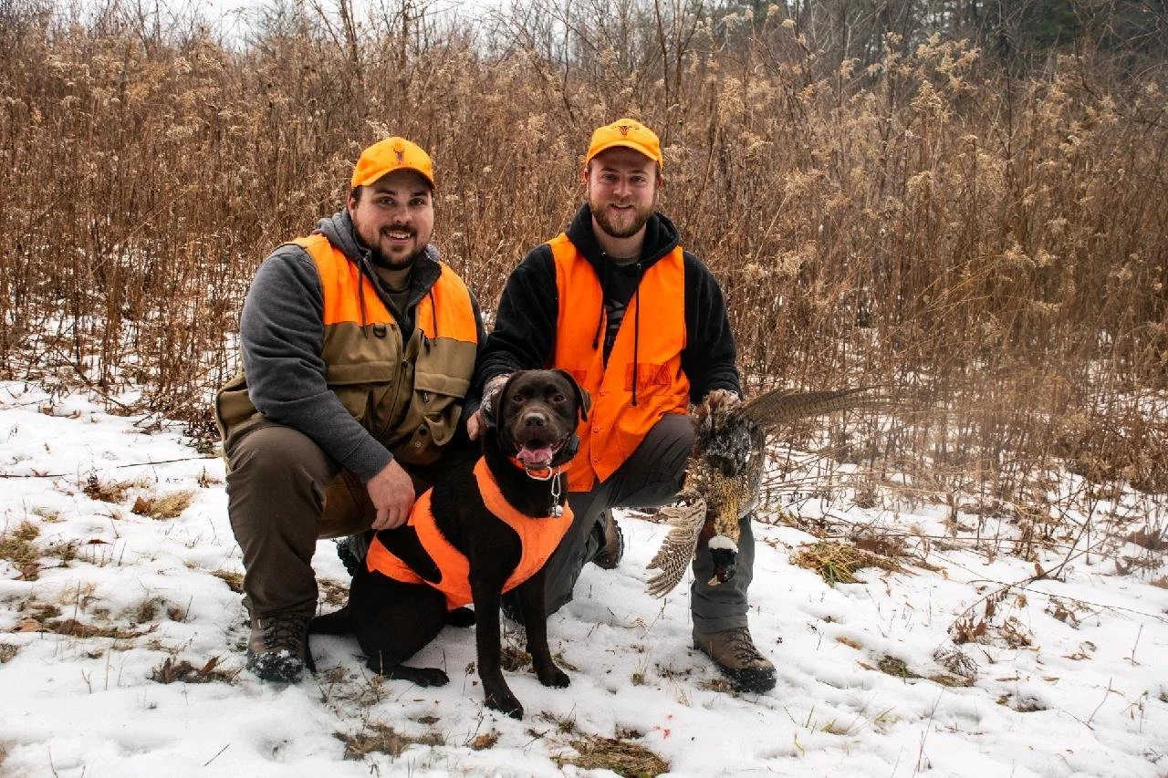 Services — Triple Tree Kennels