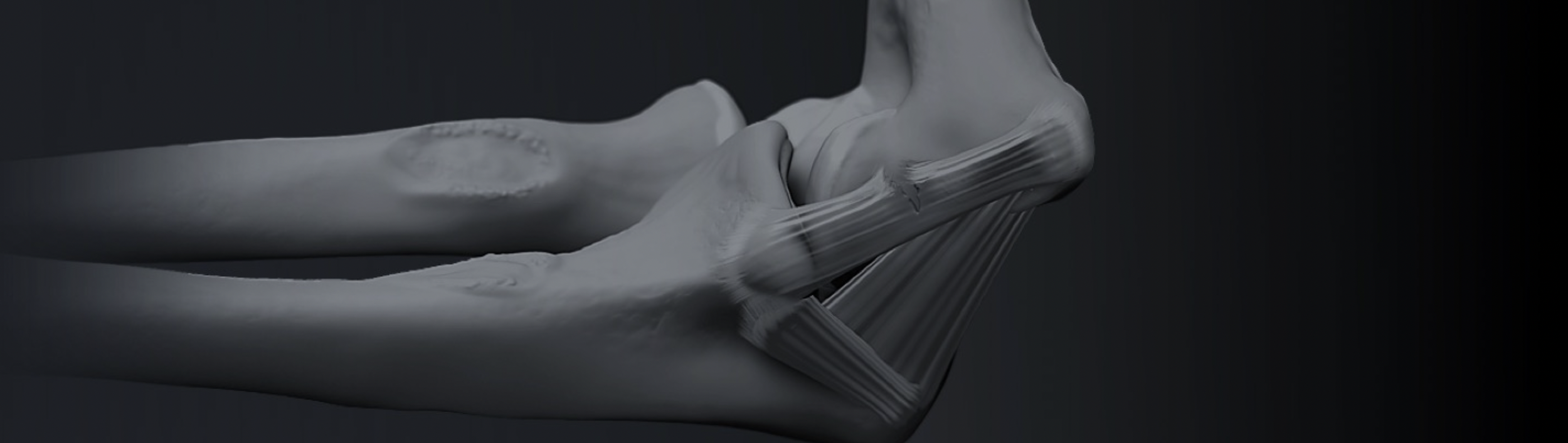 Overview / Anatomy — Jonathan Koscso, MD