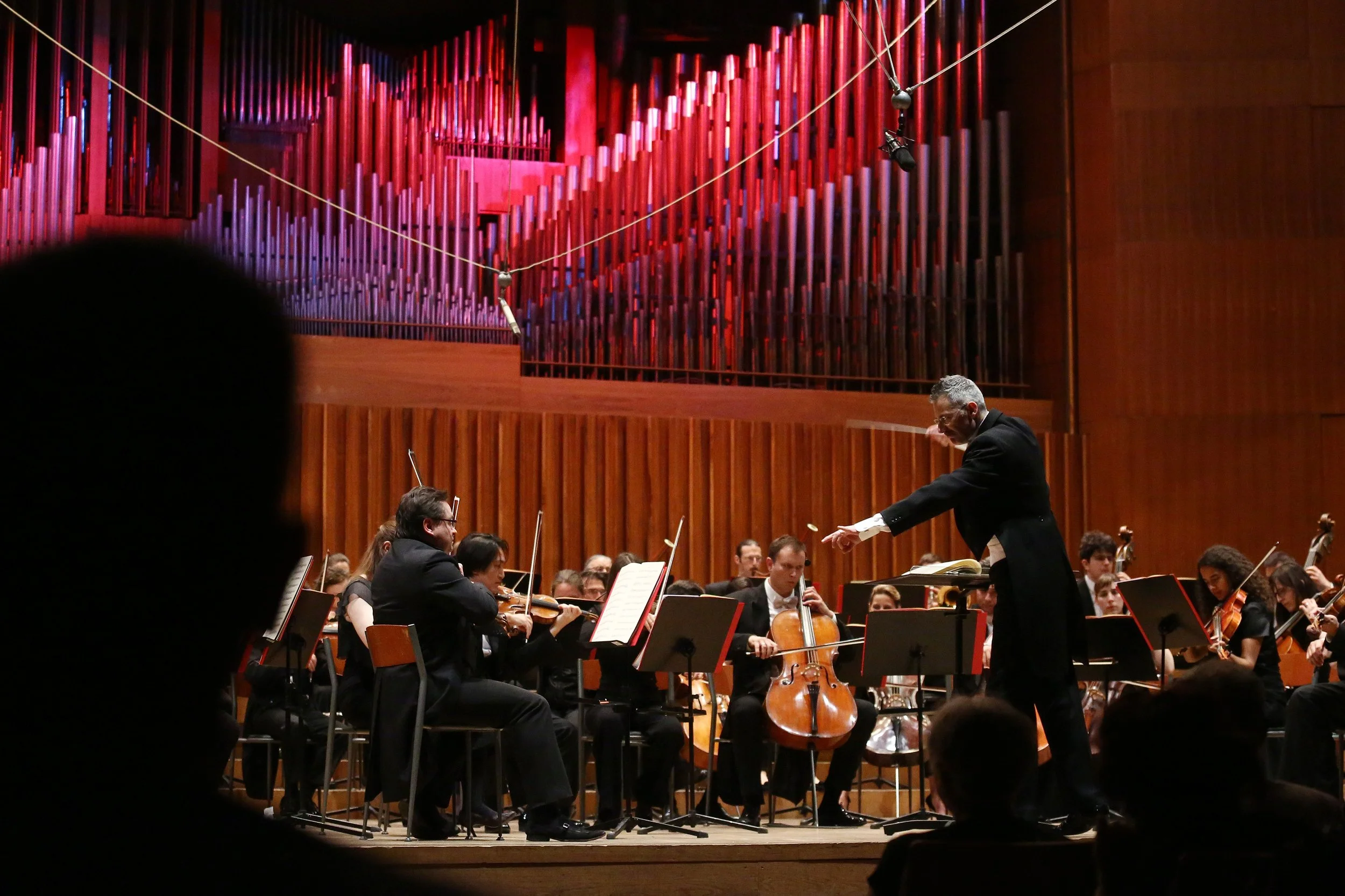 About — Dario Salvi