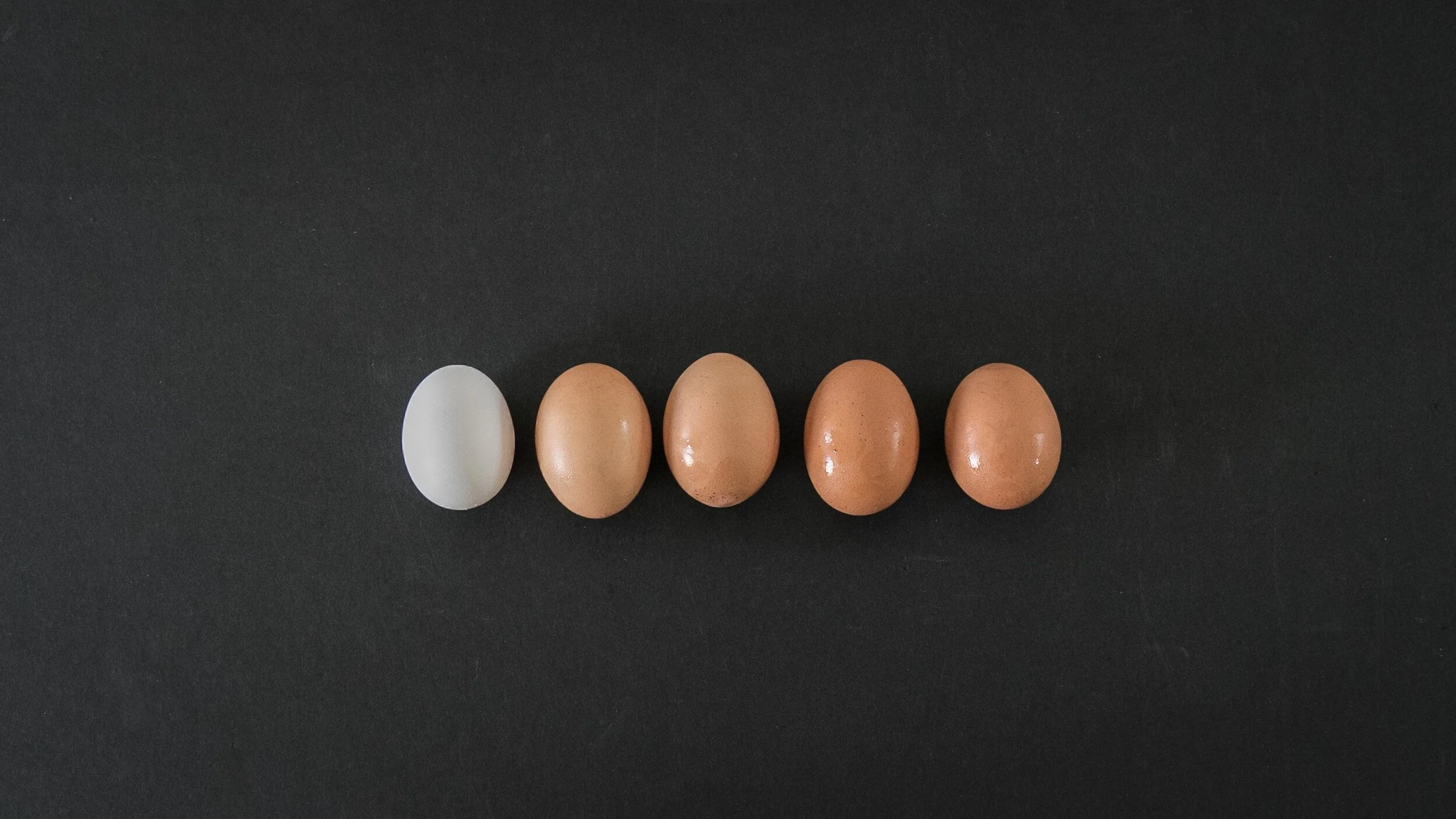 Egg Nutrition 101 The Healthiest Way To Cook Eggs Egg Nutrition 101 The Healthiest Way To Cook Eggs