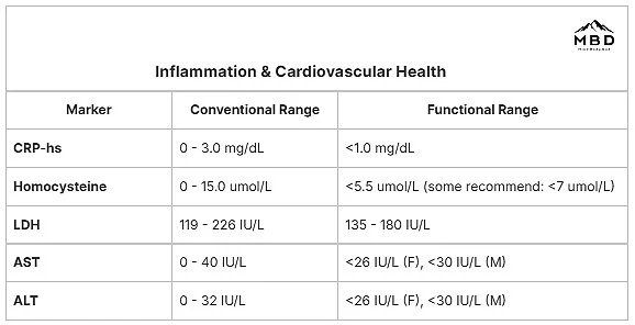 Functional vs. Conventional Blood Ranges: What to Know