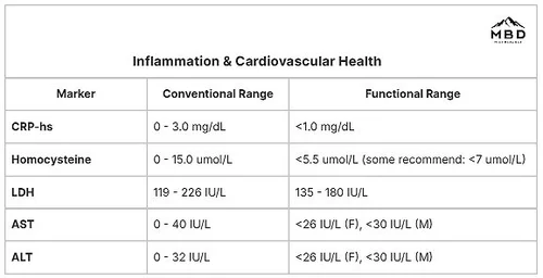Functional vs. Conventional Blood Ranges: What to Know
