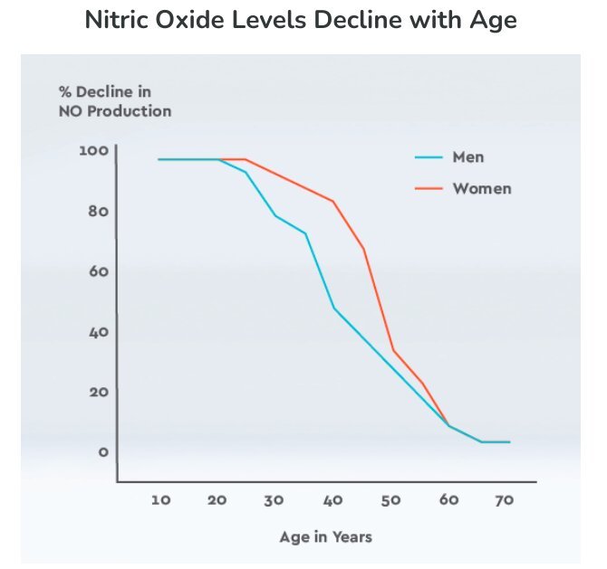 Discover the importance of nitric oxide (NO) levels in the body and how ...